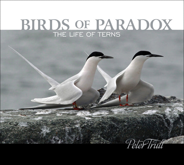 Birds of Paradox – REDFeather
