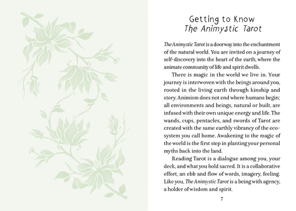 The Animystic Tarot – REDFeather